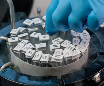 IVF Labeling Solutions - LabTAG Laboratory Labels