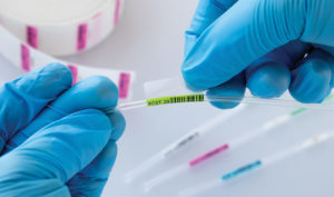 IVF Labeling Solutions - LabTAG